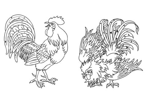 Pelea Gallo Seleccionar Sketch Coloring Page