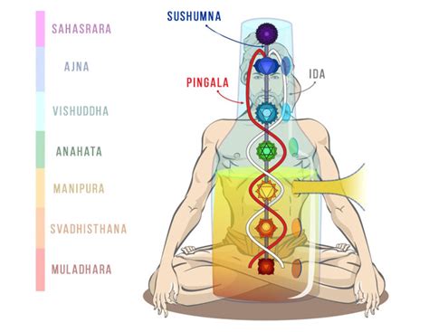 Chakras For Beginners The Ultimate Guide Solancha