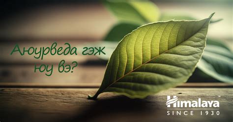 Аюурведа гэж юу вэ “ЦАХИУР ТӨМӨР” ХХК