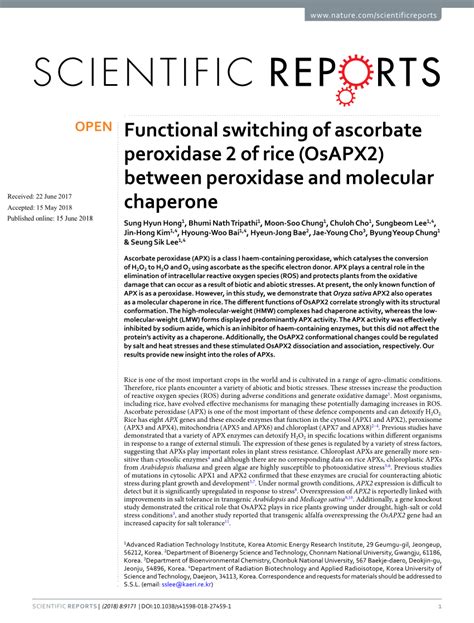 Pdf Functional Switching Of Ascorbate Peroxidase 2 Of Rice Osapx2 Between Peroxidase And