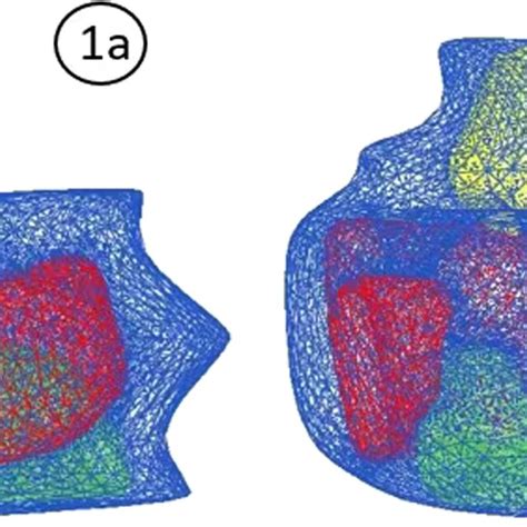 3d finite element model of the laryngeal cavity a left side view of