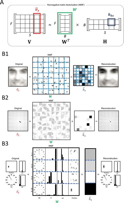 Sparse Coding And Dimensionality Reduction In Cortex Biorxiv