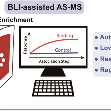 Affinity Selection Mass Spectrometry As Ms Assisted By Bio Layer