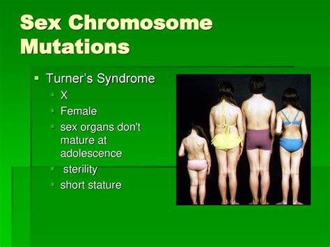Changes In Dna That Affect Genetic Information Ppt Download