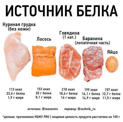 Сколько белка в говядине 100 гр: Говядина приготовленная — сколько ...