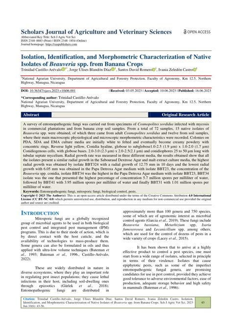 Pdf Morphometric Characterization Of Native Isolates Of Beauveria Spp From Banana Crops
