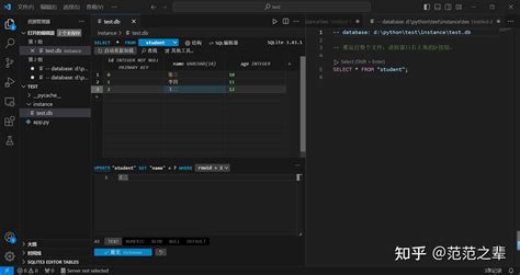 vscode sqlite3数据库管理插件sqlite3 editor 知乎