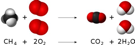What Are Some Examples Of Combustion Reactions That Are Used In Human