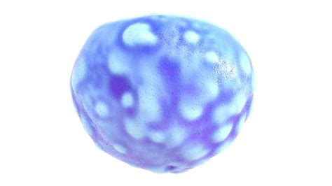 Human Cell 3d Turbosquid 2078403