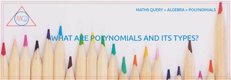 What Is A Polynomial Definition Terms Degree And Types