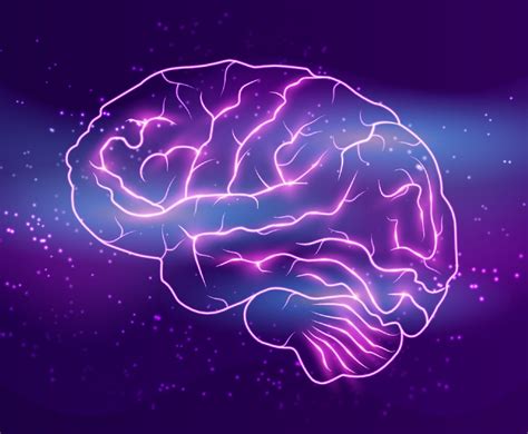 Brain Neuron Cell System Vector Art And Graphics