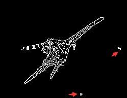 Opencv How To Get The Pixel Coordinates Of The Edge Position After The Image Is Processed By