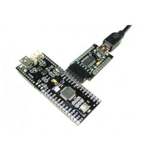 FTDI Basic Breakout V Arduino Compatible