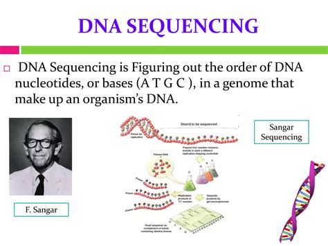 Next Generation Sequencing Pptx Chemistry Science