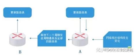 动态路由的原理与配置 知乎