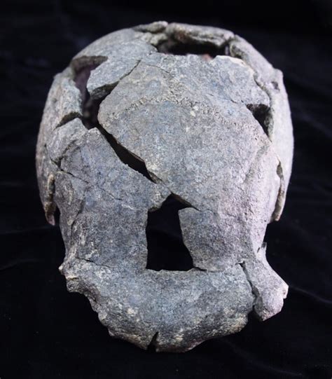 Homo Erectus Fossils And Tools Unearthed In Ethiopia Archaeology World