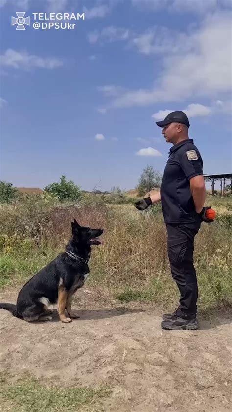 Оперативний ЗСУ On Twitter Струнко 🫡 Тримай свою іграшку та вперед на працю Мирного неба та