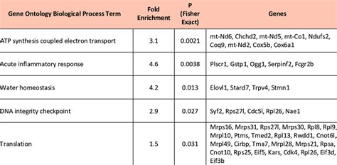 gene ontology biological process terms significantly enriched in