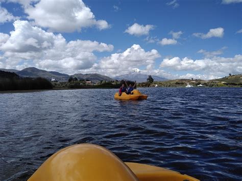 Browsing In Free Photo On Pixabay Pixabay