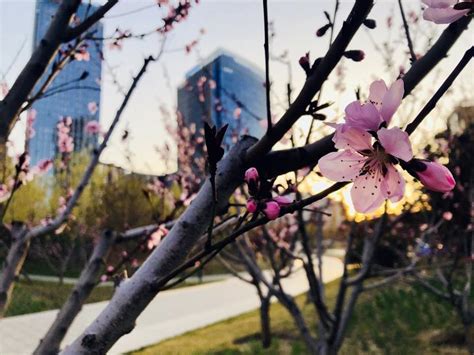 Python数分实战：假设检验和置信区间 知乎