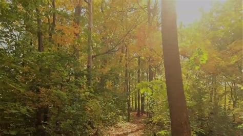 Terenti Graneli ტერენტი გრანელი Youtube