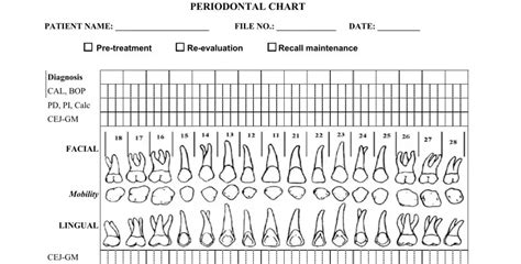 Printable Perio Charting Template Printable Forms Free Online