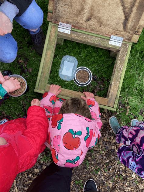 Little Hands Daycare On Linkedin Eyfs Earlyyears Earthday