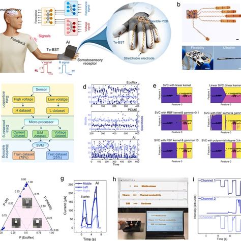 A Bionic Tactile Perceptive System Based On Bts A Schematic Diagram Of Download Scientific