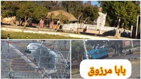 اول مرة ابني اروح حديقة نباتية في وادي سوف لقينا بابا مرزوق Youtube