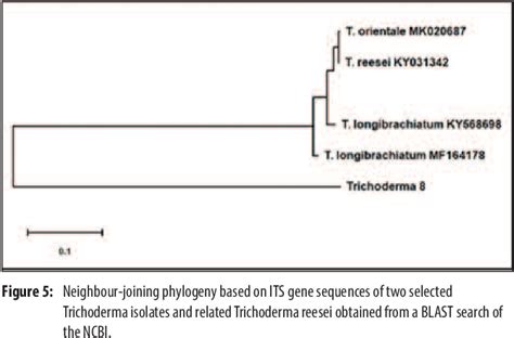 Figure 1 From Investigation Of Anthraquinone Producing Trichoderma Reesei By Highperformance