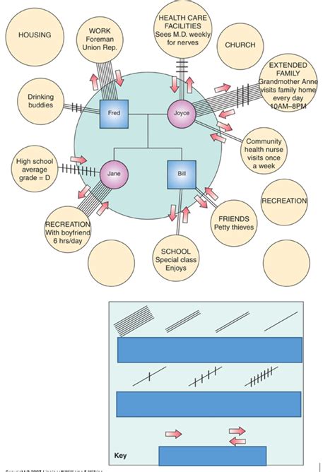 Ecomap Diagram Quizlet