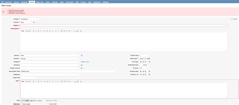 Defect 39795 Fix Improper Error Highlighting For Description Field In