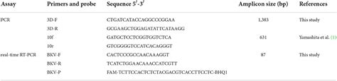 Frontiers Development Of A New Taqman Based Real Time Rt Pcr Assay For The Specific Detection