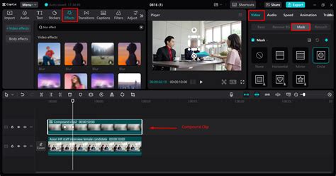 How To Blur Face On CapCut In Easy Steps