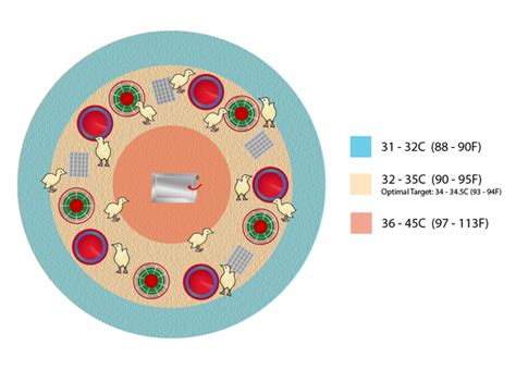 Brooding Recommendations For Best Start Hybrid