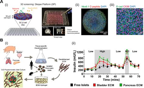 3d microenvironment and tissue specific effects of ecm a i