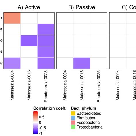 Correlation Networks Between Bacterial And Fungal Otus In Ras Patients