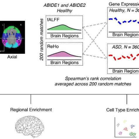 Flowchart Of The Analytical Framework And Pipeline Gene Expression Download Scientific