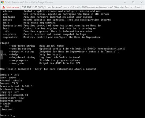 Howto Installing Hassio In Docker On A Proxmox Nuc Server Page 2