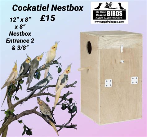 Cockatiel Nest Box Mg Hand Reared Birds