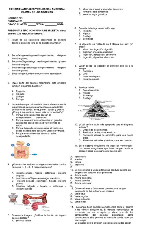 Examen Sistema Digestivo Circulatorio Respiratorio Y Exceretor
