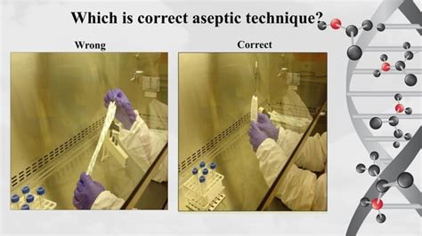 Sterility Testing Usp 71 Pdf Chemistry Science