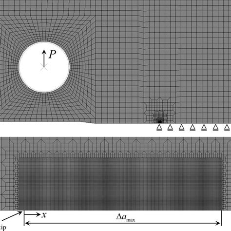 Finite Element Mesh For The Compact Tension Specimen A Global Mesh Download Scientific Diagram