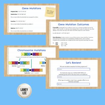 DNA Mutations Google Slides Presentation By Laney Lee TPT