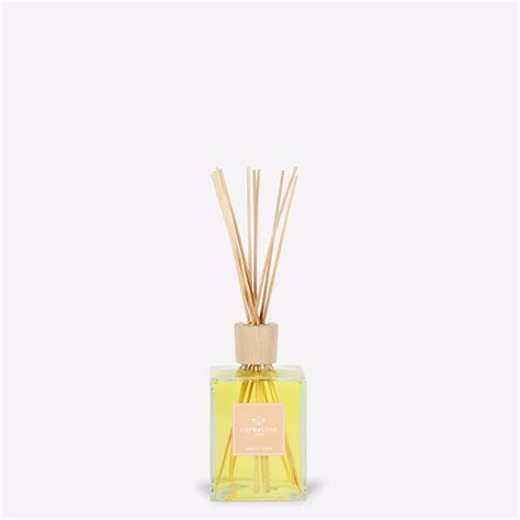 2504 Diffusore Ambiente 1000 Cubo Carbaline It