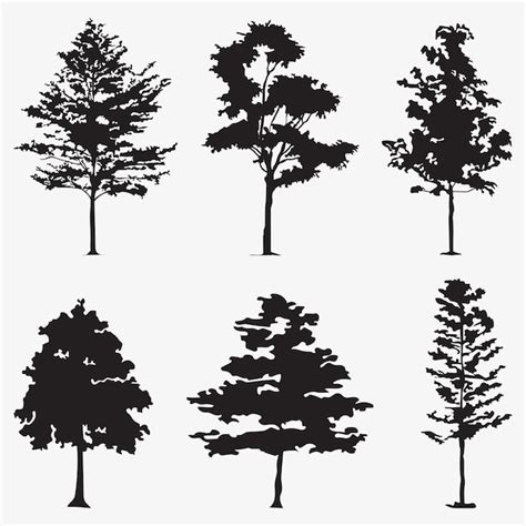 Premium Vector Tree Silhouette Vector