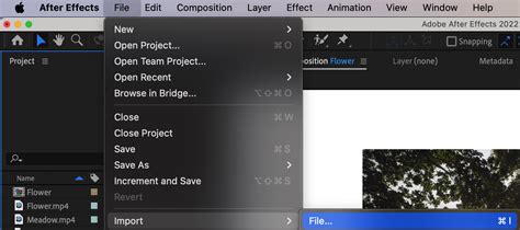 How To Use Adobe After Effects To Make An Intro Aejuice