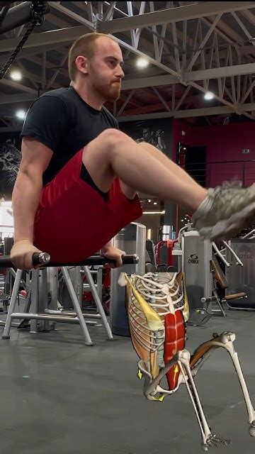 Разбор упражнения — поднятие ног на пресс Youtube