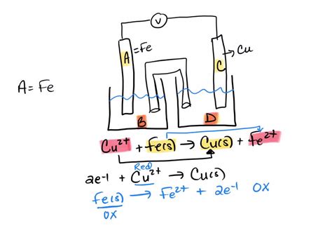 SOLVED Using The Diagram Provided Label The Components Of A Galvanic