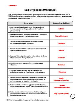 Cell Organelles Worksheet By A Thom Ic Science Tpt